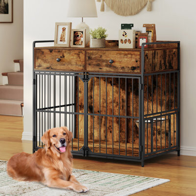Archie & Oscar Double Door Pet Crate with 360 & Adjustable Raised Dog ...