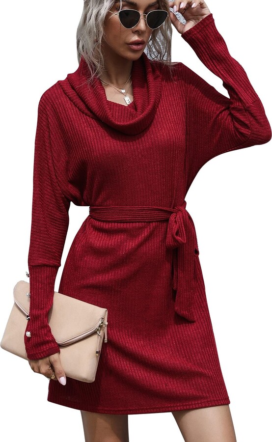 Ejoyous Long Batwing Sleeve Sweater Dress Casual Loose Fit Sweater