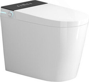 Wentygam Compact Smart Toilet With Bidet Seat Built-In, Modern Tankless ...
