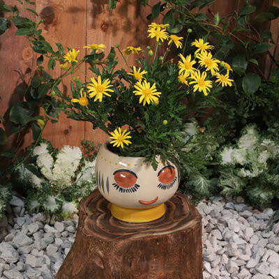 Wade Logan Ceramic Face Planter Contemporary Ivory Multi-Colored ...