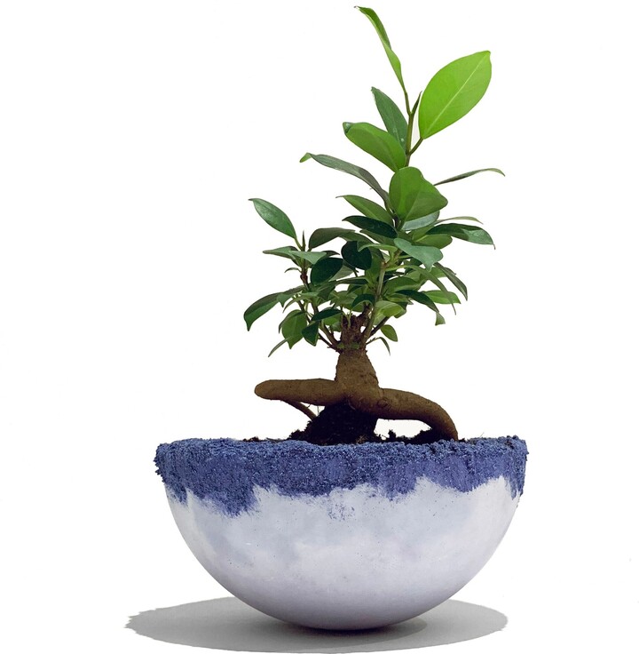 Studio Story - Roly-Poly Dancing Pot Medium Purple - ShopStyle Spoon ...