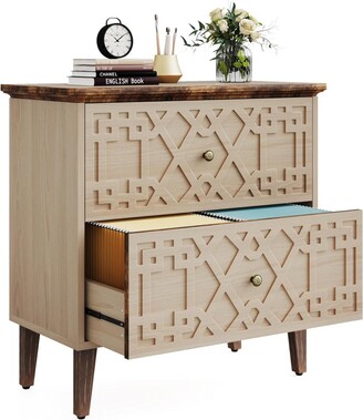 Tribesigns 2 Drawer Lateral File Cabinet, Office Filing Cabinet for A4 /Letter Size/Legal Size ...