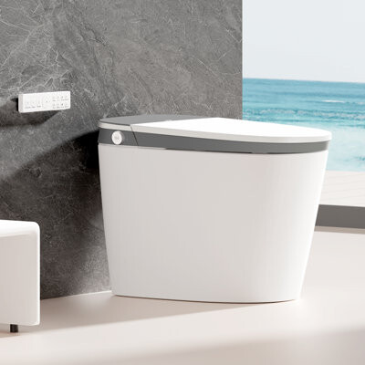 EPLO Smart Bidet Toilet with Clean Foam Shield Splash Proof, MaP ...