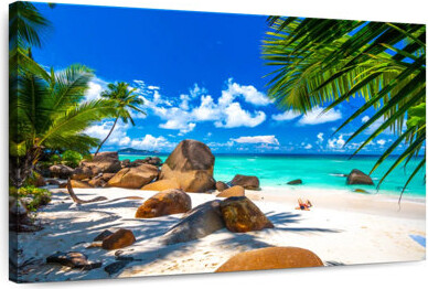 Elephant Stock Tropical Beach In Seychelles - ShopStyle Holiday Wall Art