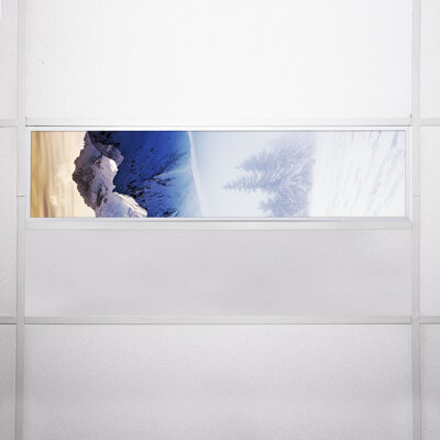 Octo Lights Landscape Flexible Decorative Light Cover - ShopStyle