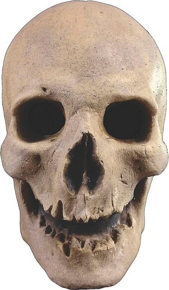 Trick or Treat Studios Trick or Treat Studios Antique Skull Overhead ...