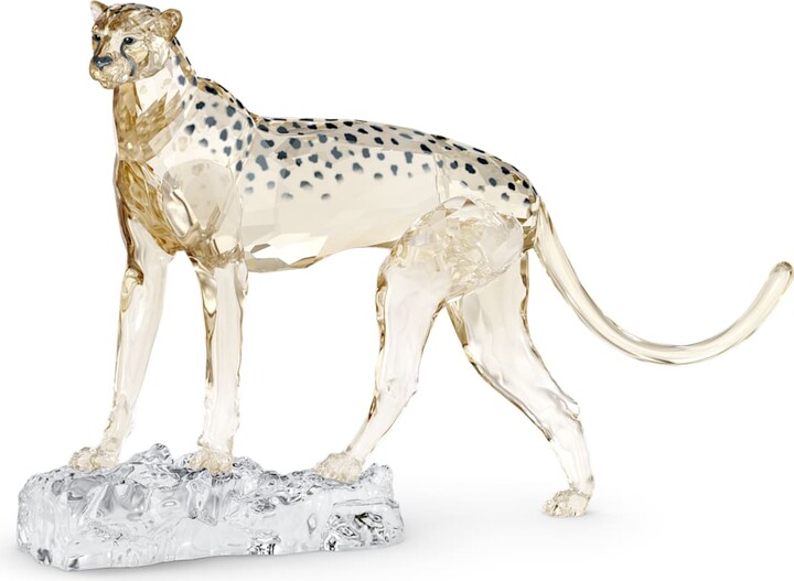 Swarovski Elegance of Africa SCS Annual Edition 2023 Cheetah Mehira ...