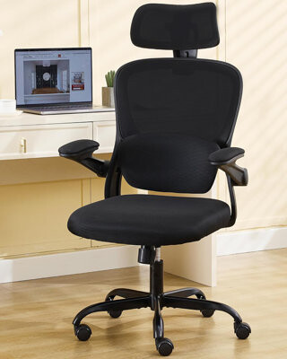 Inbox Zero Ergonomic Office Chair With Tilt-Lock Home Office Desk Chair ...