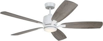 Luminance Brands Ion Eco Ceiling Fan with DC Motor Wall Control, with ...