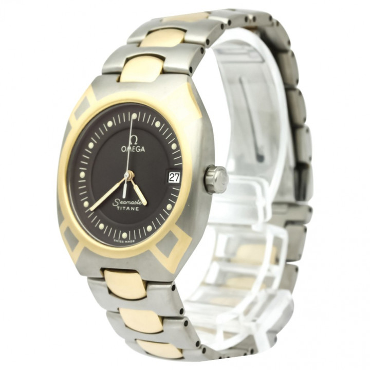 Omega Seamaster Grey Titanium Watches - ShopStyle