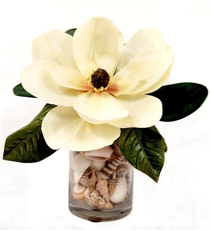 Creative Displays Magnolia In Glass Vase With Shells - ShopStyle