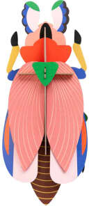 Studio Roof Paper Insect Giant Lady Beetle Large - ShopStyle Artwork