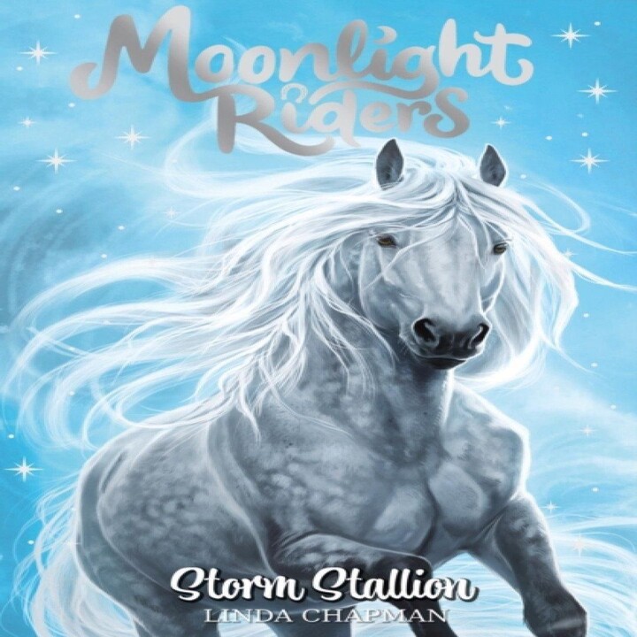 Linda Chapman Moonlight Riders: Storm Stallion Book - ShopStyle