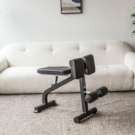 LifePro Roman Chair Hyperextension Bench - Adjustable Back Extension ...