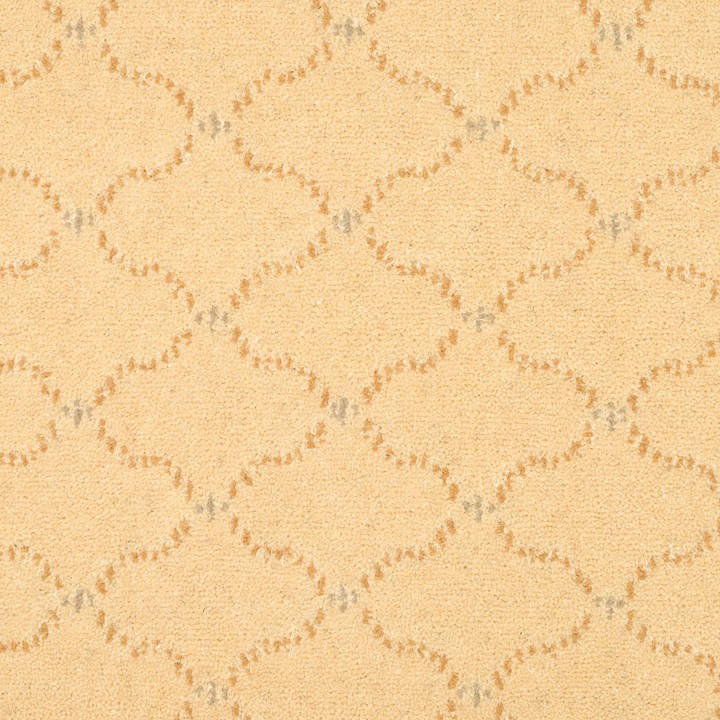Adam Carpets Catherine Lace Twist Carpet - ShopStyle Area Rugs