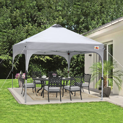 ABCCANOPY Compact 10 Ft. W x 10 Ft. D Steel Pop-up Canopy The Pop Up ...