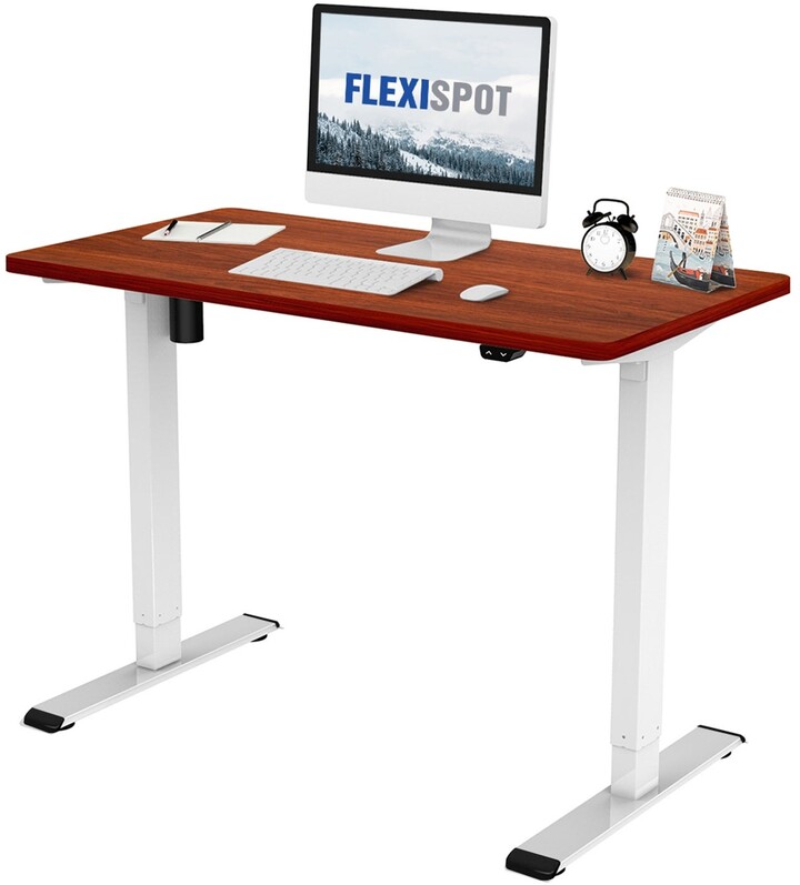 FlexiSpot 48"x24" Electric Home Office Height Adjustable Standing Desk ...