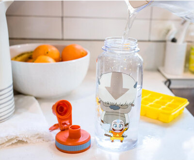 Silver Buffalo Avatar Chibi Aang & Appa 32 Oz. Plastic Drinking Glass ...