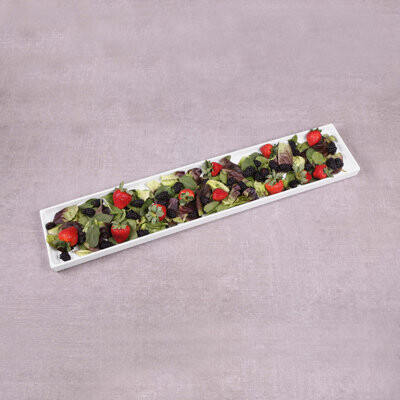 Elite Global Solutions Melamine Rectangular Food Pan - ShopStyle