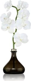 Senti Fig Orchid Diffuser - ShopStyle Home Fragrance