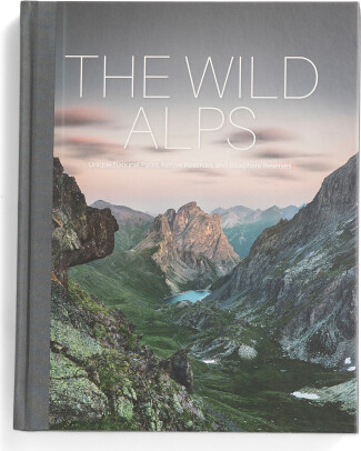 The Wild Alps Book - ShopStyle Indoor Pillows