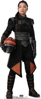 Advanced Graphics Cardboard Standup - ShopStyle