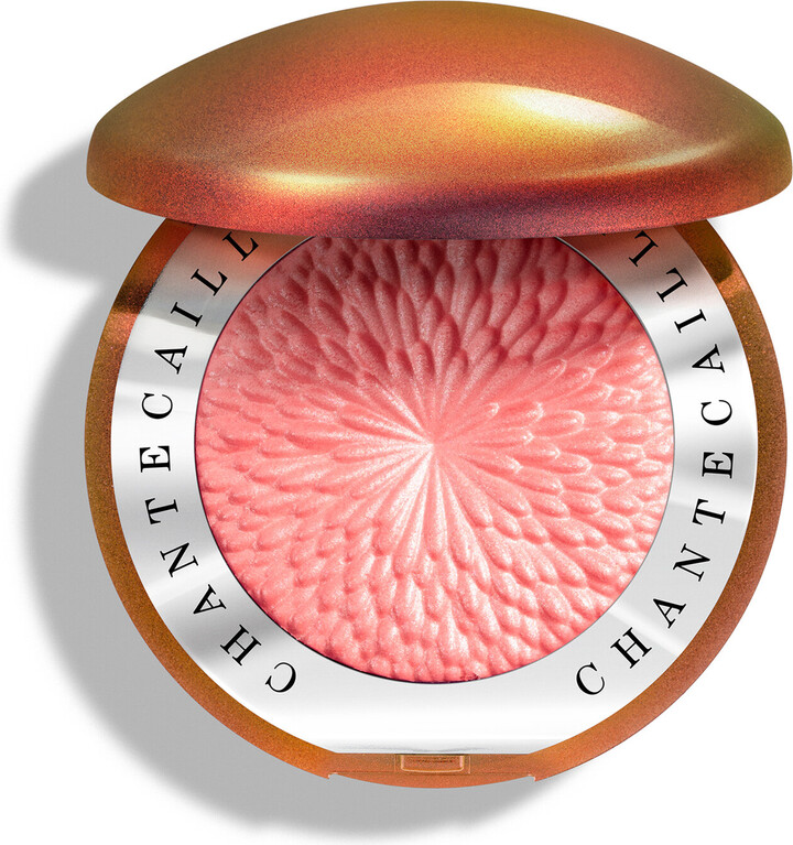Chantecaille Face Makeup - ShopStyle