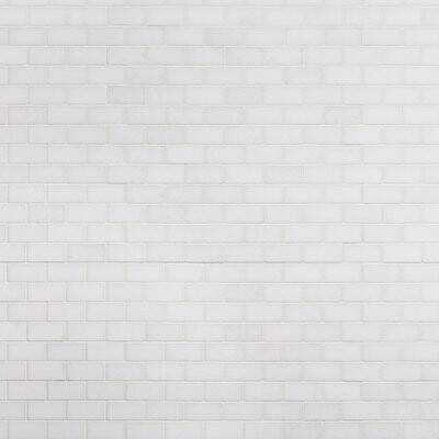 Medici & Co. Running Bond 1" x 2" Marble Mosaic Wall & Floor Tile ...