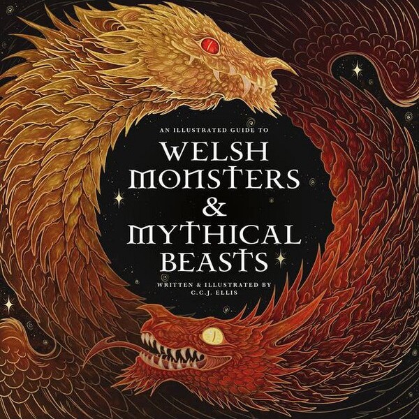 Eye of Newt Books Welsh Monsters & Mythical Beasts - (Wool of Bat) by ...