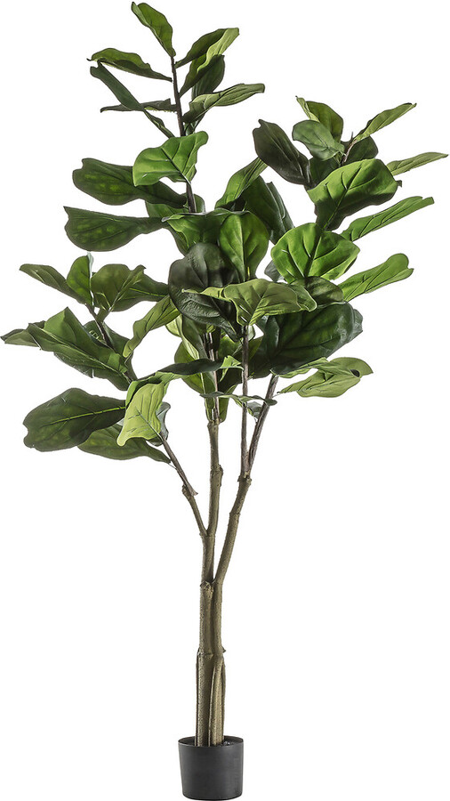So'home 120cm Artificial Fiddle Tree - ShopStyle Decor