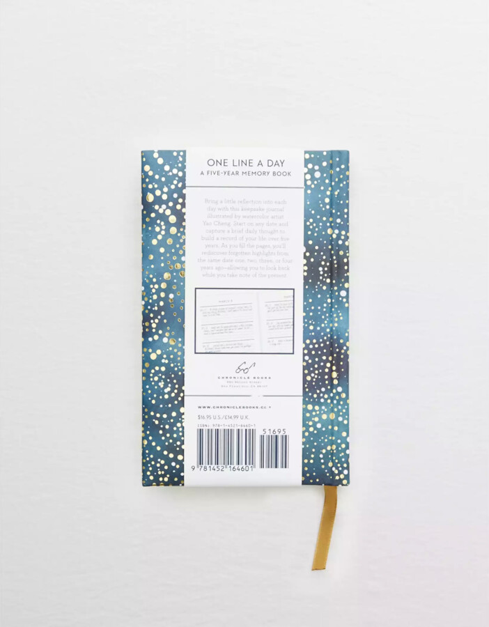 aerie Celestial One Line A Day Journal - ShopStyle Home & Living