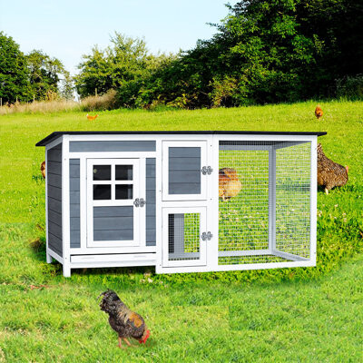 Tucker Murphy Pet Dekorion 63'' Outdoor Wooden Moveable Hen House ...