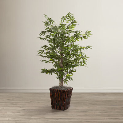 Lark Manor Artificial Japanese Maple Bush Tree in Planter - ShopStyle ...