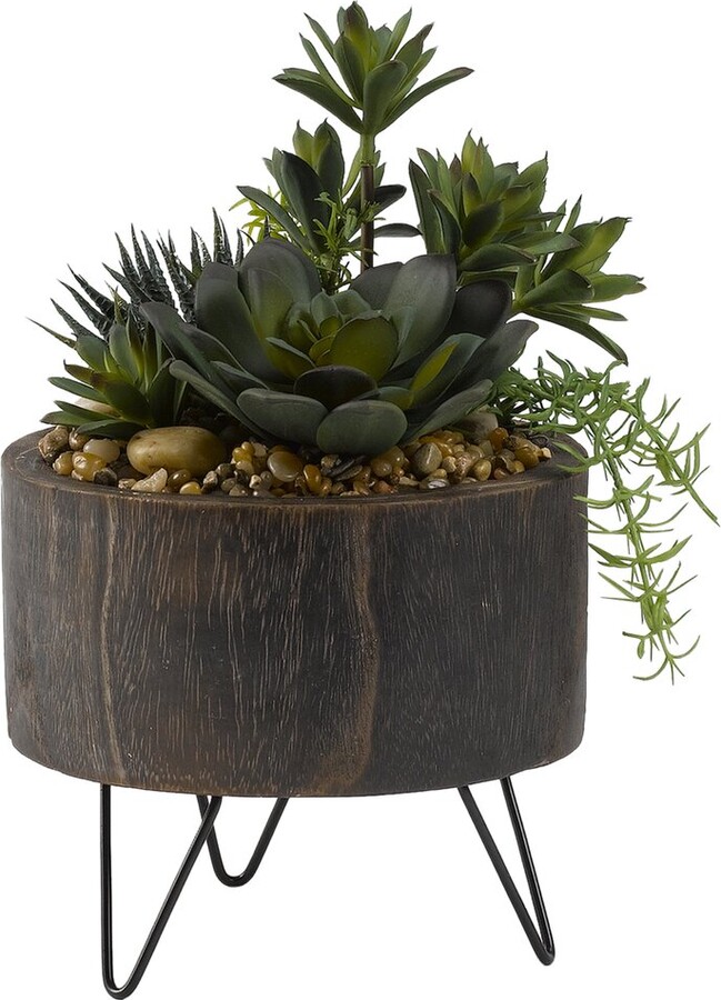 D & W Silks D&W Silks Mini Yucca With Aloe And Echeveria In Rustic Wood ...