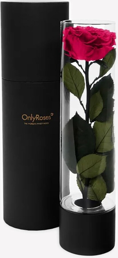 OnlyRoses Large Infinite Rose Ebony - ShopStyle Decor