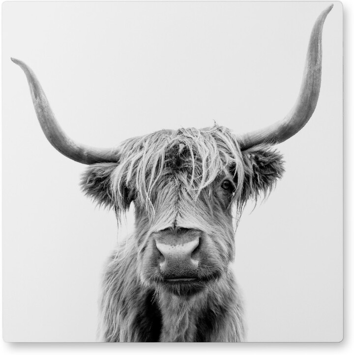 Shutterfly Photo Tiles: Highland Cow - Black and White, Metal, 8x8 ...