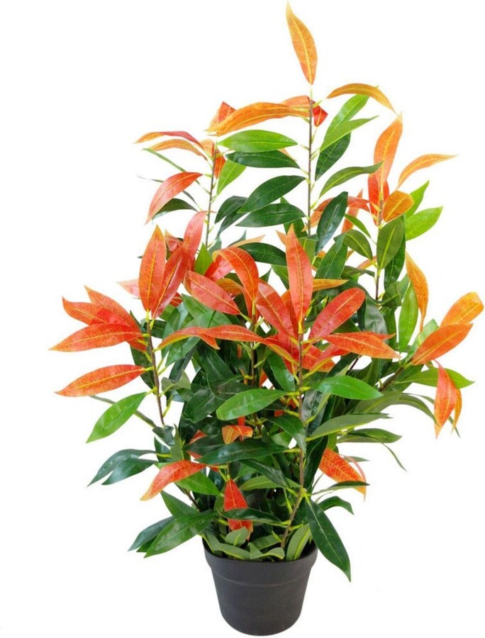 80cm Leaf Realistic Red Robin Artificial Ficus Tree / Plant - ShopStyle ...