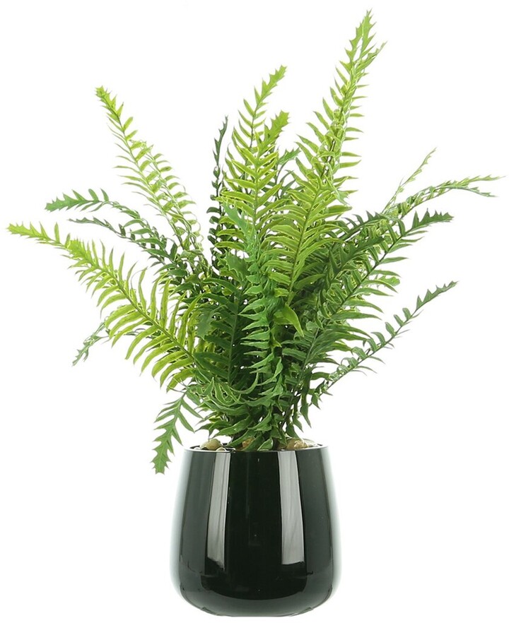 Creative Displays Fern Plant In A Vase - ShopStyle