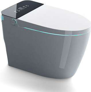 MONSFEST 1.28 Gallons GPF Elongated Bidet Toilet - ShopStyle Game Room