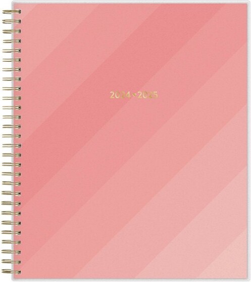 Color Me Courtney for Blue Sky 2024-25 Monthly Planner 10"x8" Frosted ...