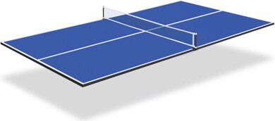 Raychee Ping Pong Table Top, Foldable Ping Pong Table Topper For Pool ...