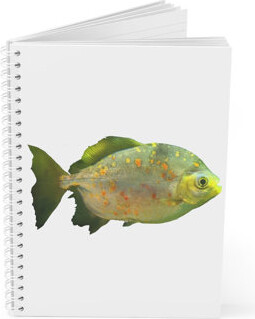 Marick Booster Green Fish with Specs Spiral Notebook - ShopStyle Home ...
