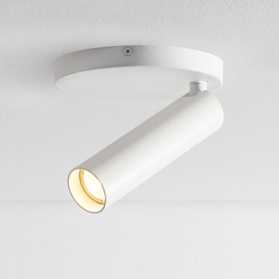 Vidalite Karpo Spotlight With Adjustable Head, Integrated LED, Flush Mount Canopy, 3000K, 580 ...
