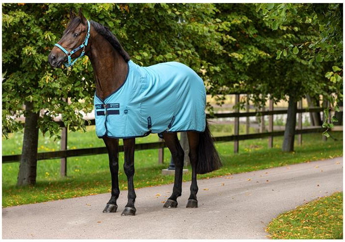 Amigo Stable Sheet - ShopStyle