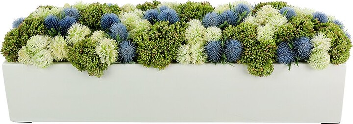 Creative Displays Sedum And Blue Thistle Arranged In Rectangular ...