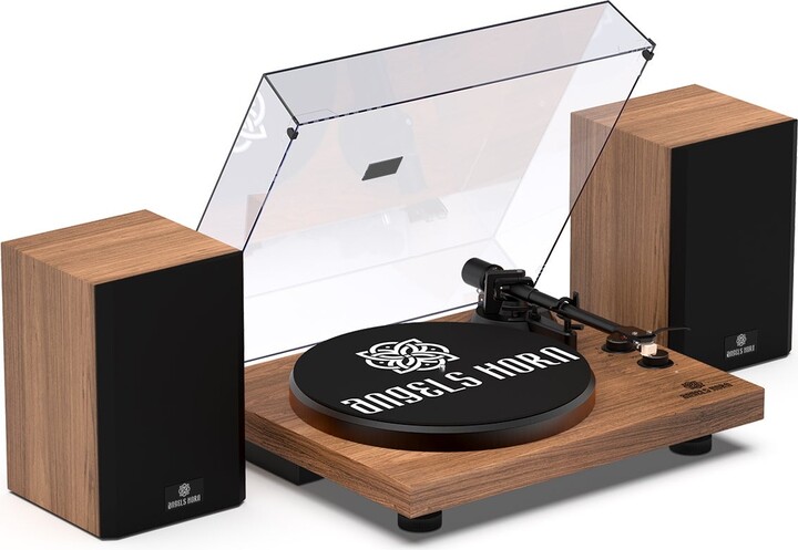 hommetree Hi-Fi System Bluetooth Turntable with Stereo Bookshelf ...