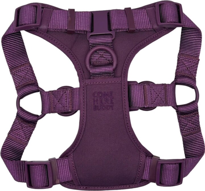Come Here Buddy Ube Step In Dog Harness - ShopStyle