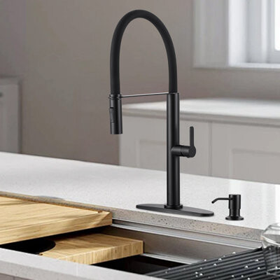 AVITAS Stainless Steel 2-Function Single Handle Pull Out Kitchen Faucet ...