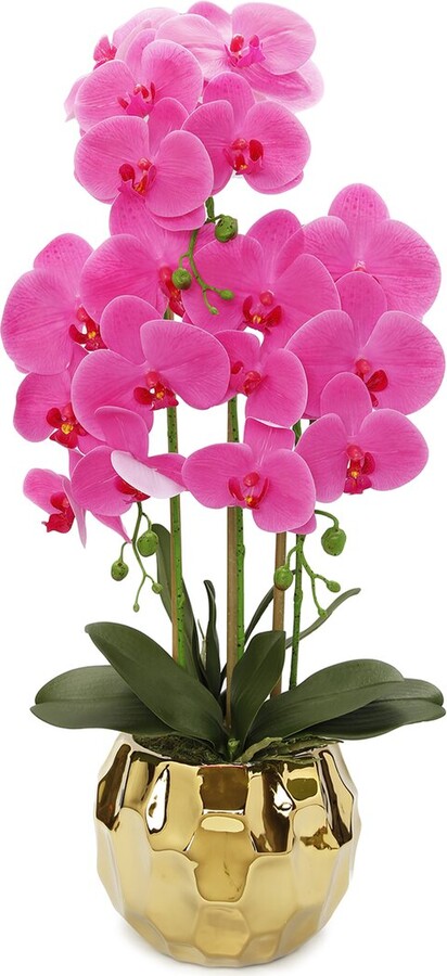 Vivience Pink Orchid Plant In Flat Round Gold Hammered Pot - ShopStyle ...