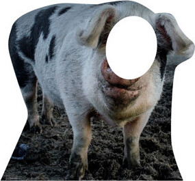 Advanced Graphics Pig Cardboard Standup - ShopStyle Kids & Baby